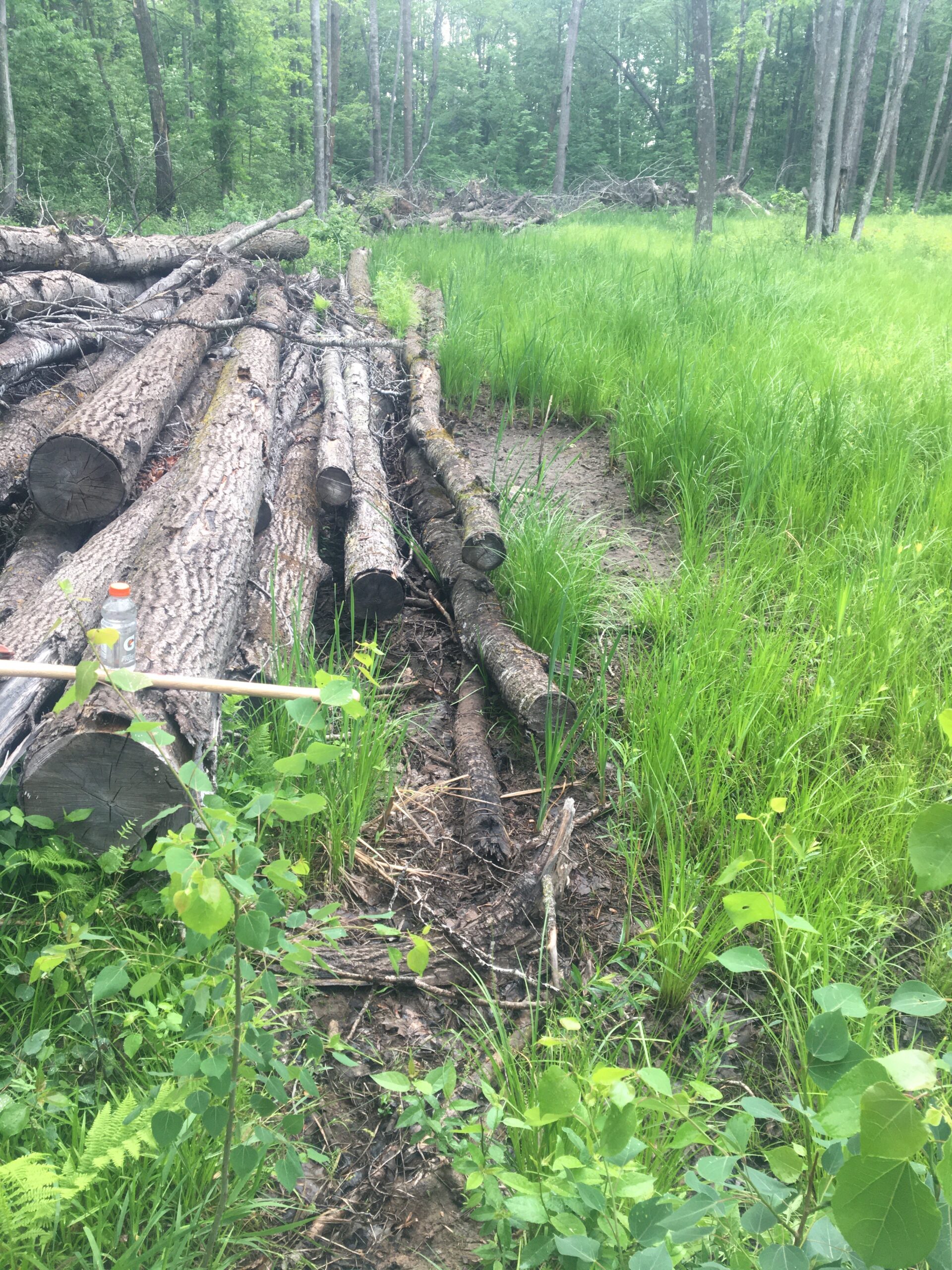 Cabin Log Piles – Prep Work – The Archerland Homestead